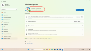 Windows 11 päivitysten tarkistus – Napalmi IT-palvelut