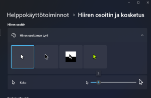 Windows 11 asetukset heikkonäköiselle – Napalmi IT-palvelut